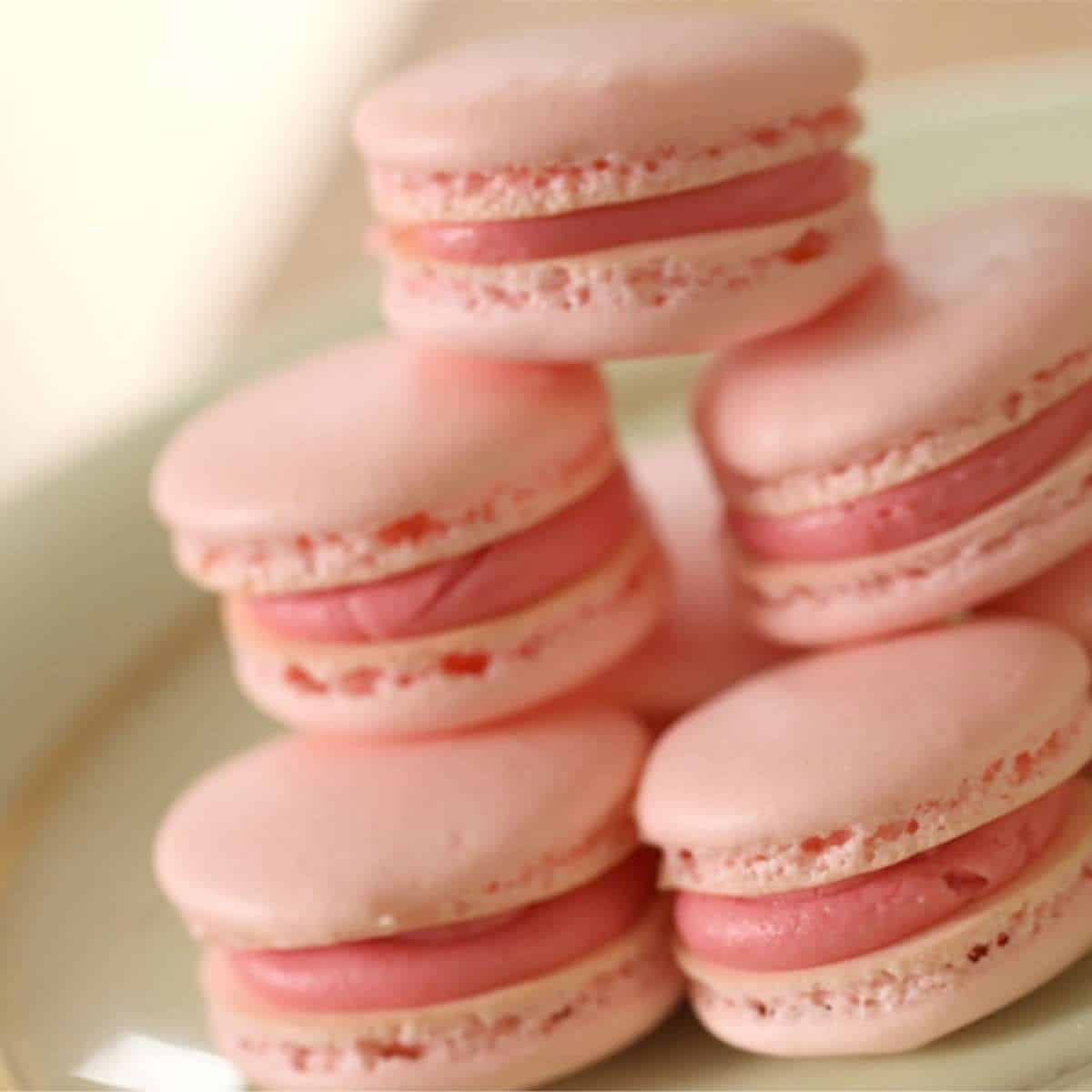 Kitchen Tools Baking Tray Diy Macarons Cookies Non stick Cake Pan 